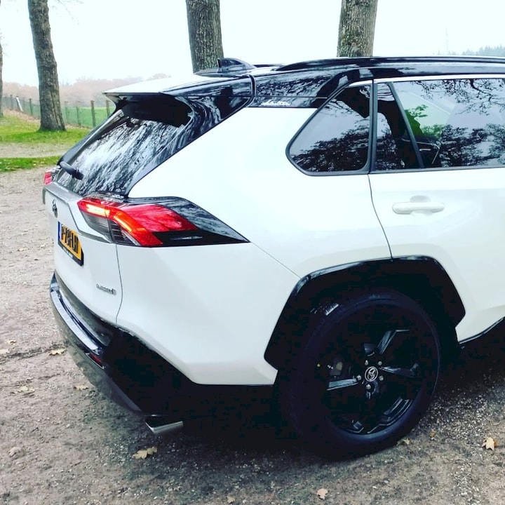 Toyota RAV4 2.5 Hybrid 2WD Bi-Tone (2019) #2 review